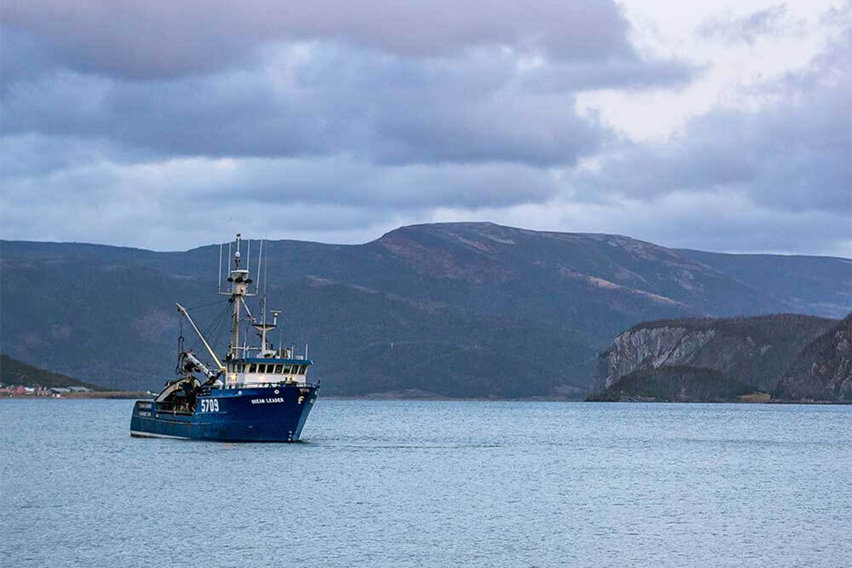 Barry Group | WaterWerks Agency