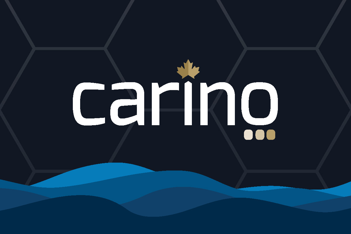 Carino | Brand & Web Design | WaterWerks Agency