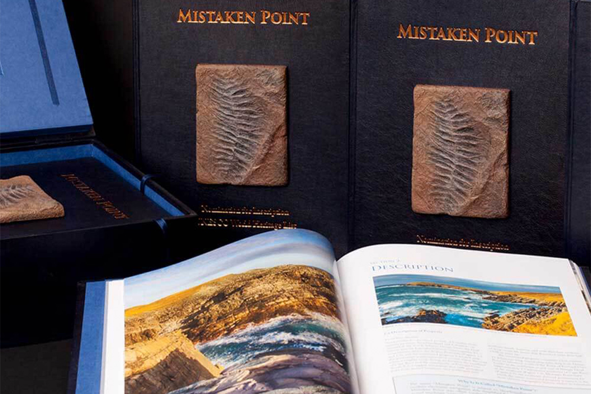 Mistaken Point | Destination Profile | WaterWerks Agency